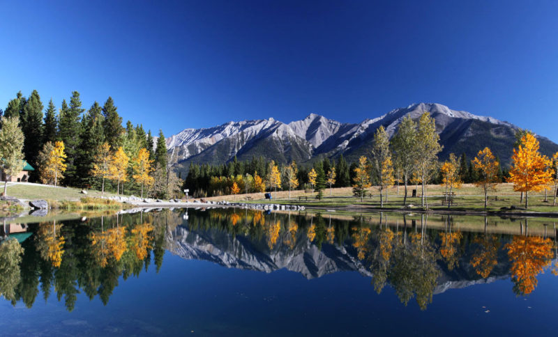 Local Photography - Photo Gallery