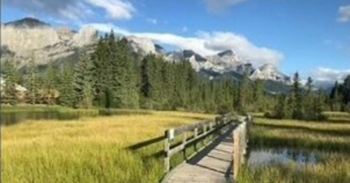 Walking Around Canmore: 6 Easy Walking Loops: Fun for the Whole Family